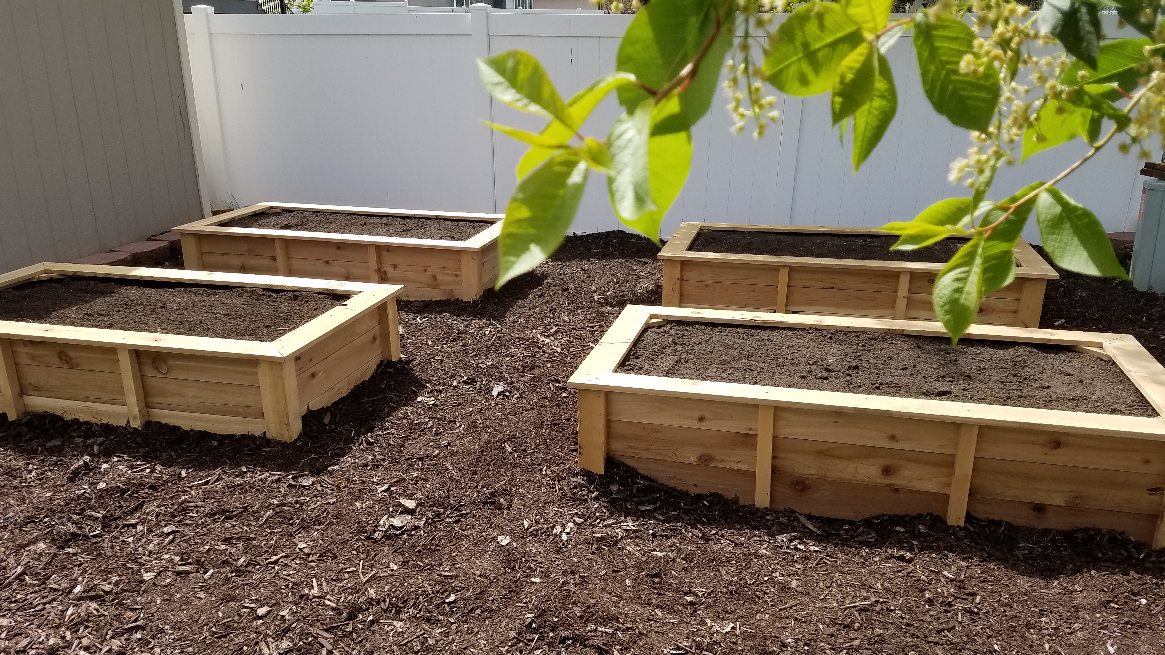 Garden Boxes